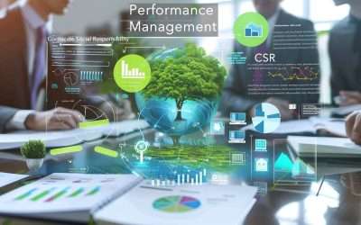 Organisational Structure Impact on Performance Management
